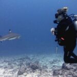 2 Tank (1 Day) Guided Diving for Certified Divers - Denarau Marina - Why This Tour Is a Great Fit