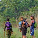 3-Day Chitwan Jungle Safari from Kathmandu  All-Inclusive Tour - What This Tour Means for You