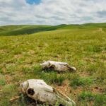 3 day Khar khorum budget tour Central Mongolia - The Itinerary in Detail