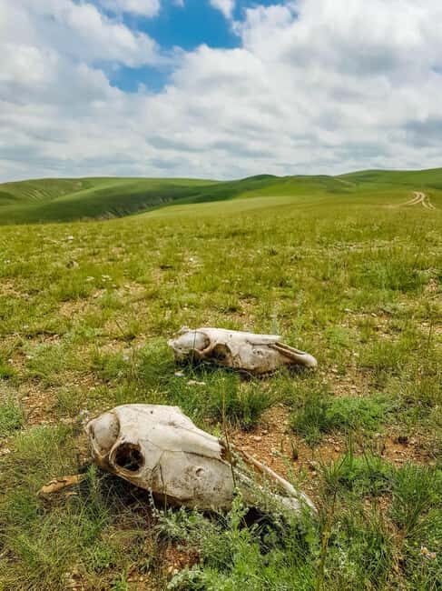 3 day Khar khorum budget tour Central Mongolia - The Itinerary in Detail