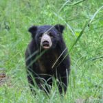 3 Days Jungle Safari in Chitwan National Park - What Makes This Tour Stand Out