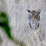 3-Days Private Luxury Golden Triangle Tour Agra Jaipur Delhi - What Makes This Tour Stand Out