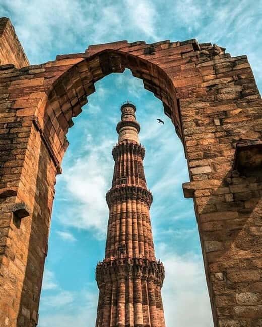 4-Day Delhi & Jaipur Highlights with Jim Corbett Safari - What Makes This Tour Stand Out?
