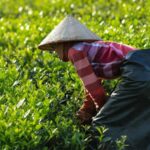 4 Day Guided Tour From Monasteries to Forts in Dharamshala - What Makes This Tour Stand Out?