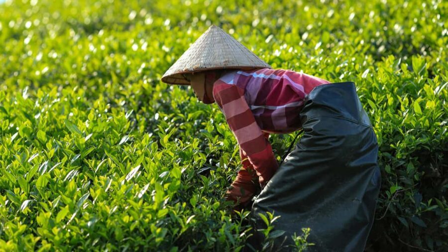 4 Day Guided Tour From Monasteries to Forts in Dharamshala - What Makes This Tour Stand Out?