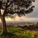 4 Hours Private City Tour in Auckland - Practical Tips for Your Tour