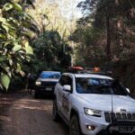 4WD Guided Day Trip In D'Aguilar National Park - Group Size, Duration, and Logistics