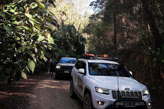 4WD Guided Day Trip In D'Aguilar National Park - Group Size, Duration, and Logistics
