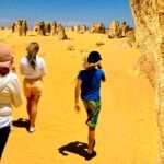 4WD Pinnacles Desert Turquoise Coast and Sand Boarding Adventure - What Makes This Tour Stand Out?