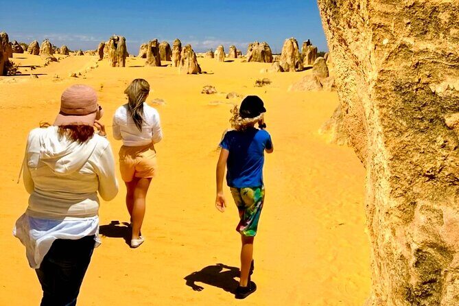 4WD Pinnacles Desert Turquoise Coast and Sand Boarding Adventure - What Makes This Tour Stand Out?