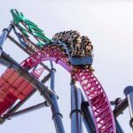 5-Day Theme Park Pass & Sea World Cruise Combo Ticket - The Itinerary Breakdown