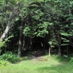 5 Hours of Pilgrimage Tour in the footage of Mt Fuji in English - The Value of This Experience