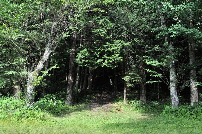 5 Hours of Pilgrimage Tour in the footage of Mt Fuji in English - The Value of This Experience