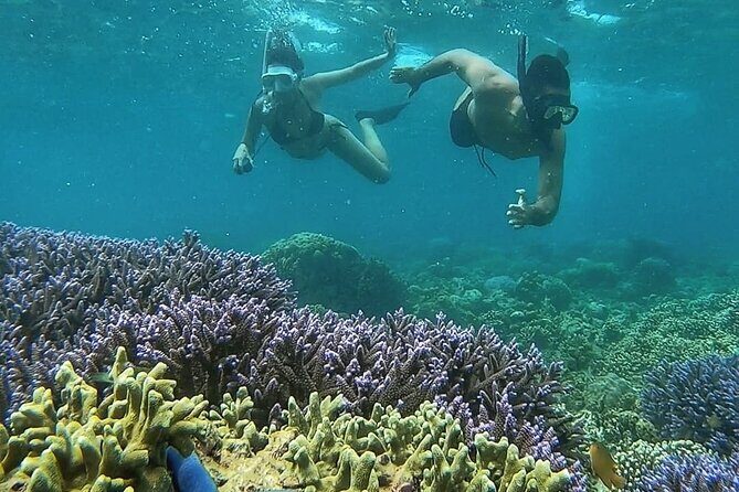 5 Secret Gili Snorkeling & Hoping Island from Gili Gede to Asahan - The Itinerary Breakdown