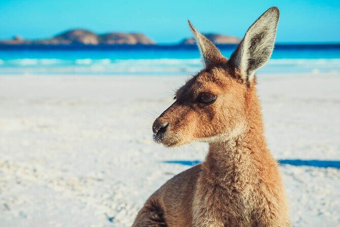 6 Day Esperance & Margaret River Adventure Tour - Who Will Love This Tour?