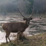 6-Day Golden Triangle Tour: Taj Mahal, Jaipur & Ranthambore - Analyzing the Value and Practicalities