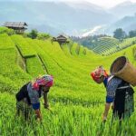 6 Days Tour to North of Vietnam - Transportation & Group Dynamics