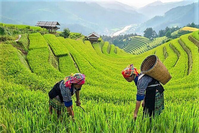 6 Days Tour to North of Vietnam - Transportation & Group Dynamics