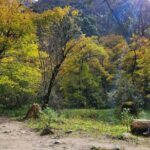 7-Day Langtang Valley Trek from Kathmandu - Real Traveler Insights