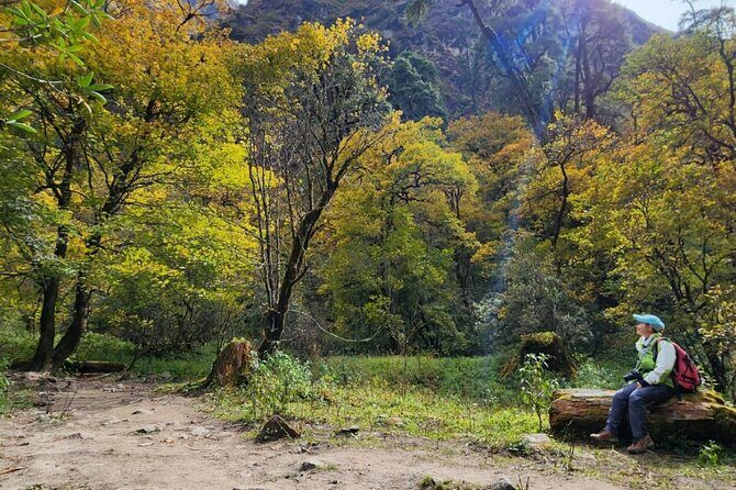 7-Day Langtang Valley Trek from Kathmandu - Real Traveler Insights