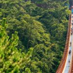 7 Highlights Gyeongju City One Day Small Group Tour from Busan - Why Travelers Love This Tour