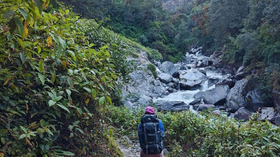 8 Day Langtang Valley Trek for Beginners - The Sum Up
