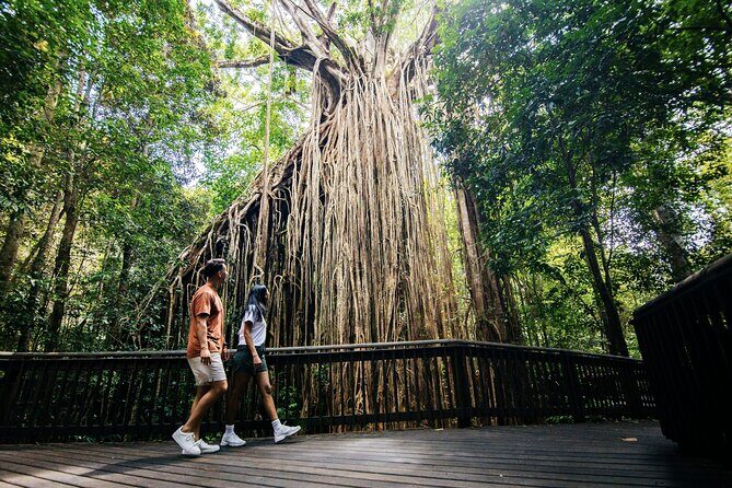 9 Day Brisbane to Daintree Whitsundays Great Barrier Reef Comfort - Day 1: Welcome to Brisbane