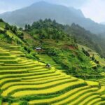 9 Days Northern Vietnam from the Mountain to the Bay - A Day-by-Day Breakdown: What to Expect