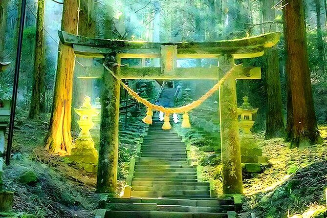 A Day Trip to Mount Aso from Fukuoka - Who Should Consider This Tour?