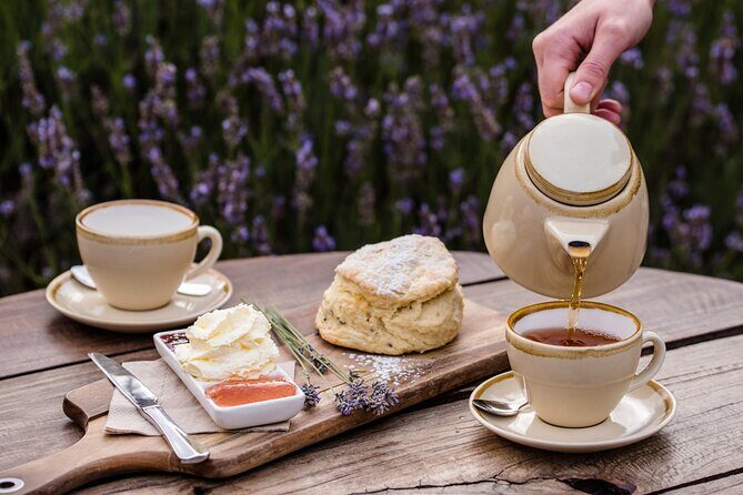 A Taste Of Kangaroo Island - Who Will Love This Tour?