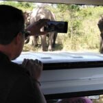 A Udawalawa Park safari, Tour from Colombo/Galle- (All inclusive) - What the Reviews Say
