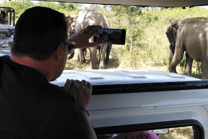 A Udawalawa Park safari, Tour from Colombo/Galle- (All inclusive) - What the Reviews Say