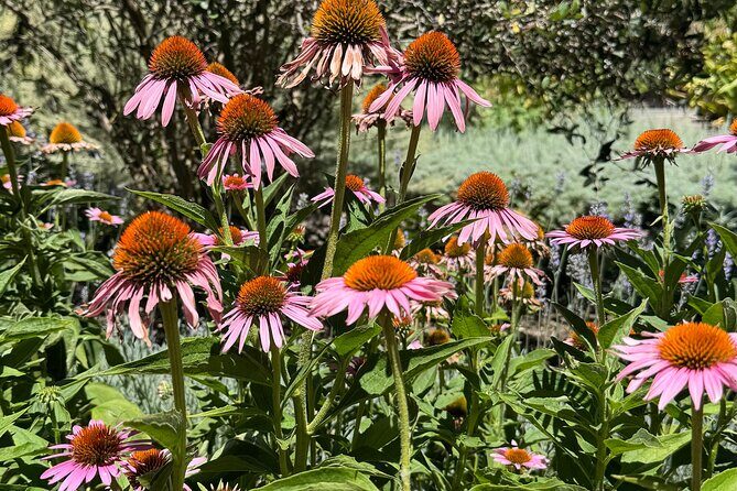 Adelaide City Tour: Top Places to Visit, Mt Lofty & Hidden Gems - Is This Tour Worth It?