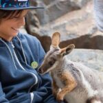 Adelaide Hills Wine & Wildlife Private Tour, inc Hahndorf & lunch - Practical Considerations and Value