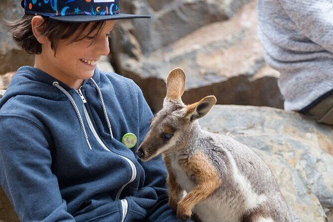 Adelaide Hills Wine & Wildlife Private Tour, inc Hahndorf & lunch - Practical Considerations and Value