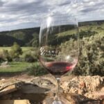 Adelaide: McLaren Vale Private WineTour+Your Chosen Tastings - Customizable Itinerary