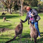 Adelaide: Premium Adelaide Hills Cleland and Hahndorf Tour - Why This Tour Stands Out