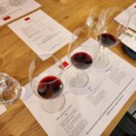 Adelaide: Premium All-Inclusive Barossa Minibus Tour - What Makes This Tour Stand Out?