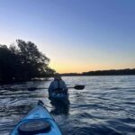 Adelaide: Twilight Mangrove Creek Kayak Tour - What the Experience Means for You