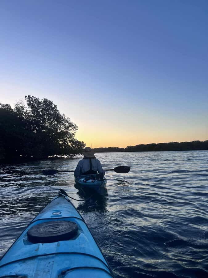Adelaide: Twilight Mangrove Creek Kayak Tour - What the Experience Means for You