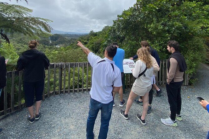 Afternoon Eco-Thermal Tour Explore Nature's Wonders - The Sum Up: Why This Tour is a Good Fit