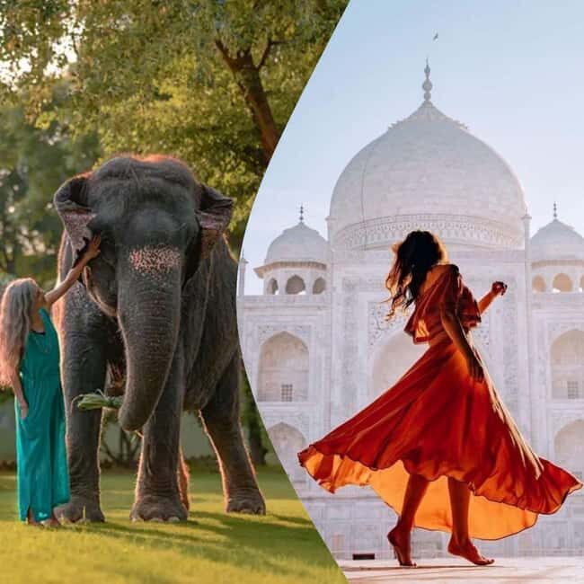 Agra: Skip the Line Taj Mahal & Elephant SOS Tour with Lunch - The Experience in Detail