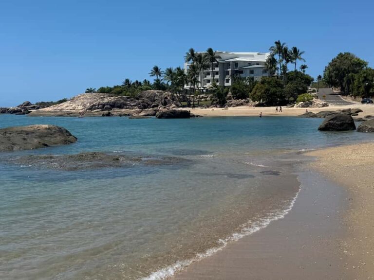 Airlie Beach: Beautiful Bowen Beaches and Seafood Day Trip. - Authentic Flavors at Birds Fish Bar