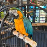 Airlie Beach: Sightseeing Bus Tour - Exploring the Whitsundays Countryside