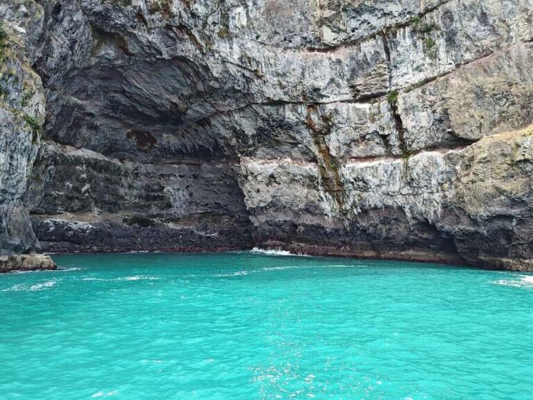 Akaroa Day Tour From Christchurch - Cheddar and Dutch-Style Cheese at Barry’s Bay