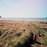 Akaroa Self Guided Electric Scooter Tour - The Sum Up: Who Should Pick This Experience?