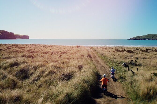 Akaroa Self Guided Electric Scooter Tour - The Sum Up: Who Should Pick This Experience?