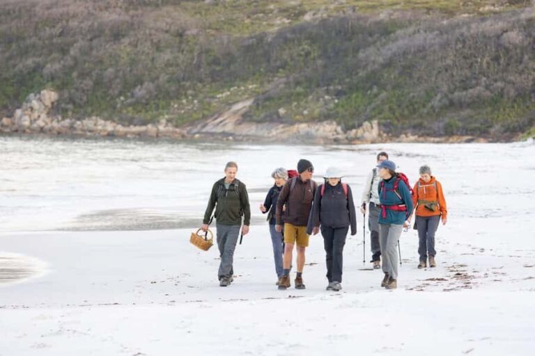 Albany: Lighting the Sound Twilight Hike - The Itinerary in Detail