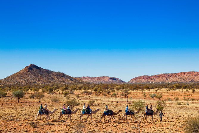 Alice Springs Camel Tour - Authenticity and Value