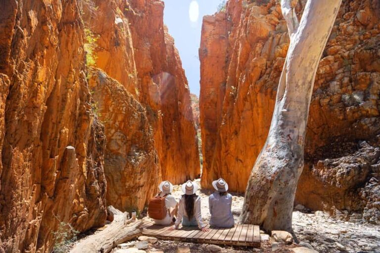 Alice Springs: West MacDonnell Ranges Day Tour with Lunch - Exploring the Itinerary: What You’ll See and Do